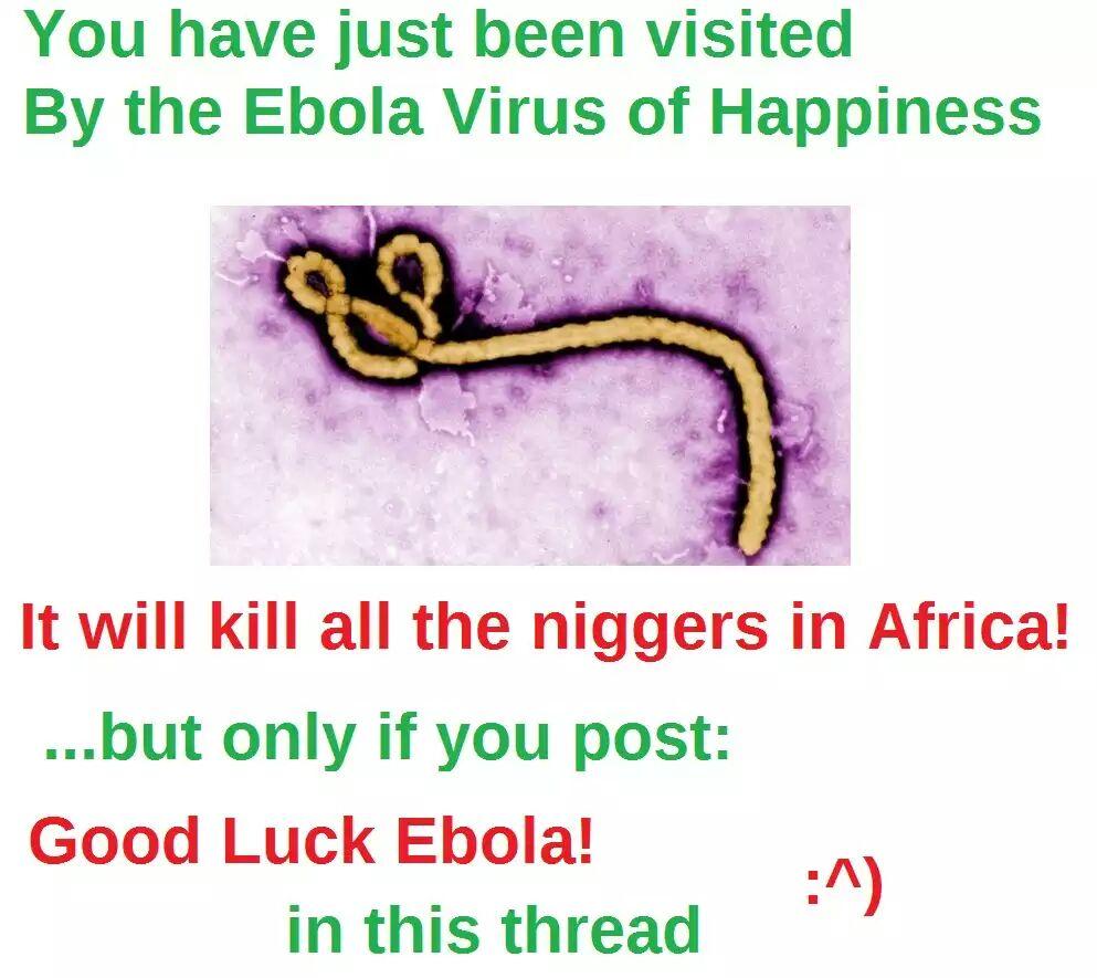 Ebola virus of happiness | 2014 Ebola Outbreak | Know Your Meme