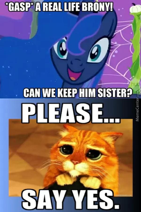 Not even tia could resist those eyes.......... I hope | My Little Pony ...