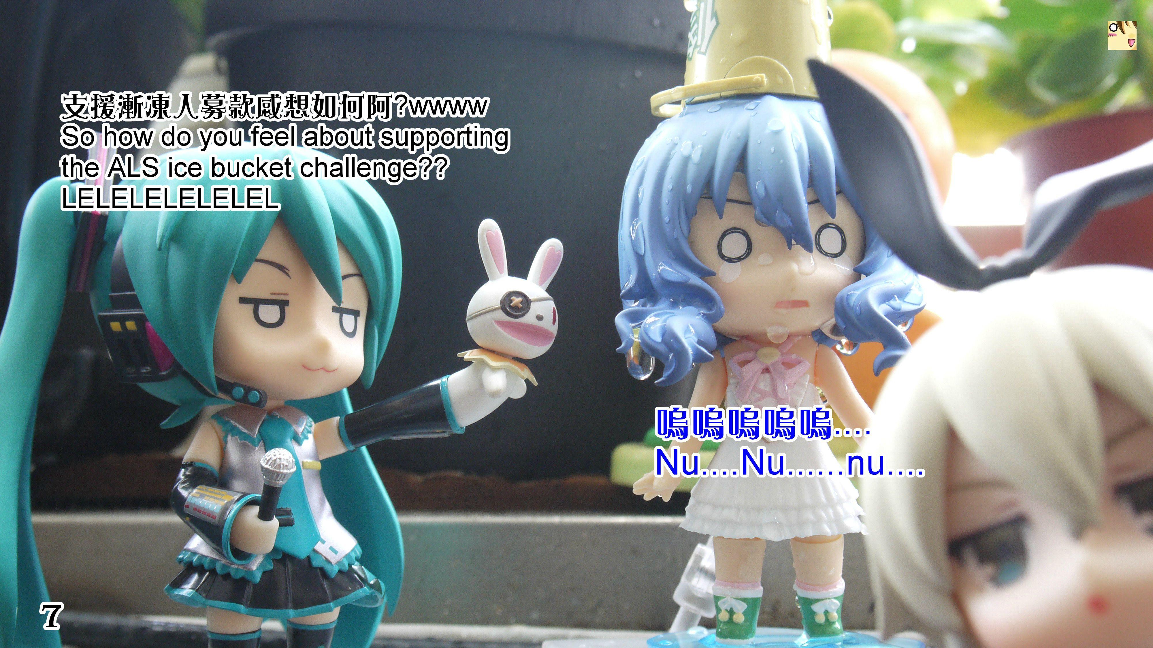 [Image - 815630] | Ice Bucket Challenge | Know Your Meme