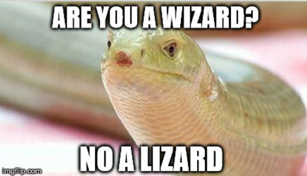 Are you a lizard? | Are You A Wizard | Know Your Meme