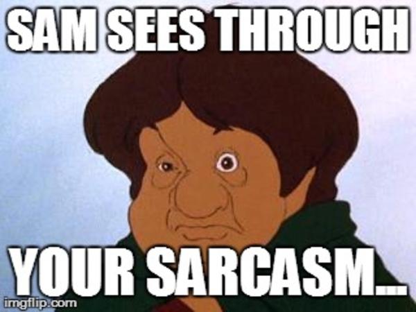 Samwise sees through your sarcasm | Lord Of The Rings | Know Your Meme