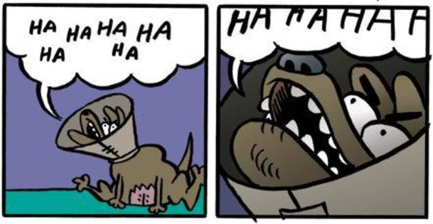 [Image - 823525] | Dogs | Know Your Meme