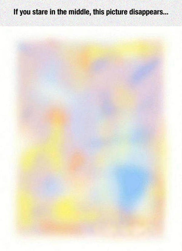 The Magical Disappearing Picture | Optical Illusion | Know Your Meme
