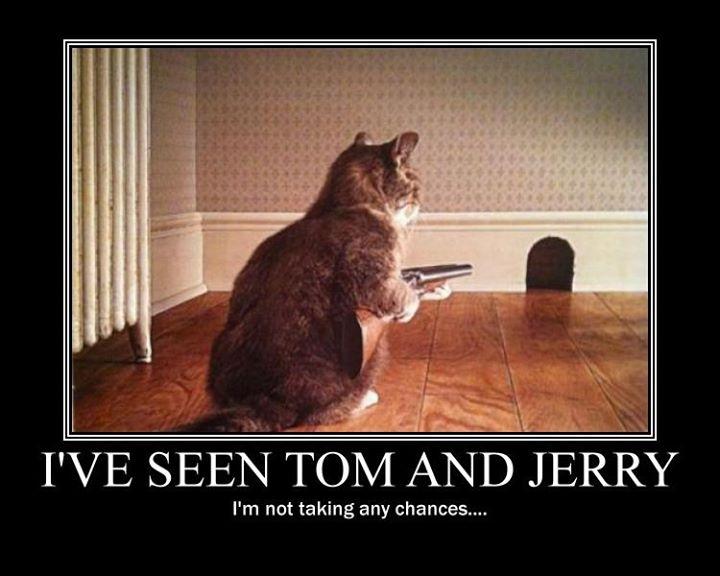 Ready Cat is ready | Demotivational Posters | Know Your Meme