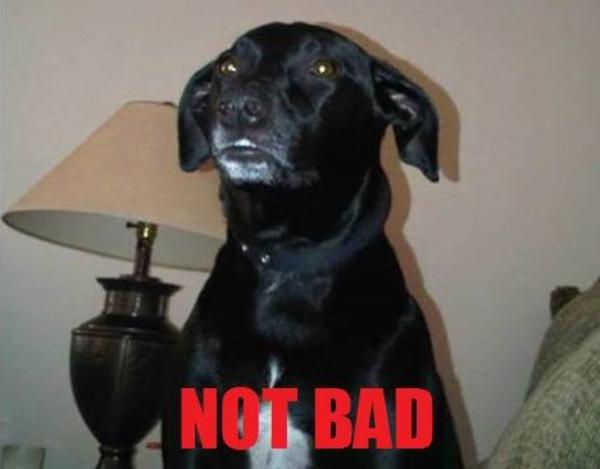 Twister_Jazzrick_Kun_Obama_Not_Bad | "Not Bad" Obama Face | Know Your Meme