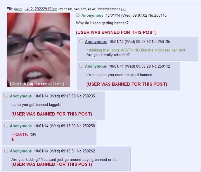 [Image - 840036] | 8chan / 8kun | Know Your Meme