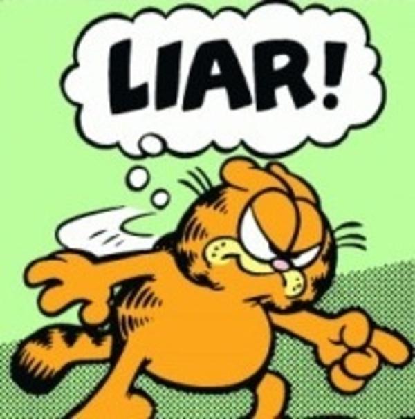 LIAR!!! | Reaction Images | Know Your Meme