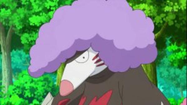 Wat. | Pokémon | Know Your Meme