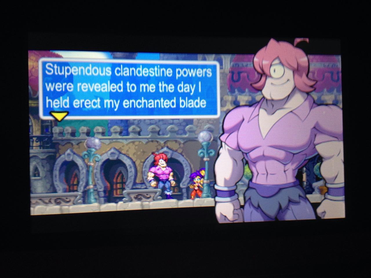 Stupendous clandestine powers | Shantae | Know Your Meme