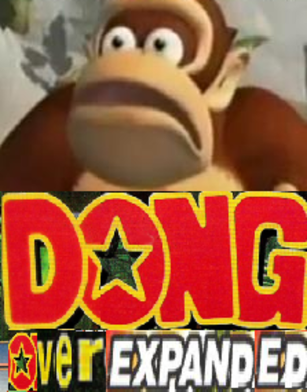 What happens if you expand dong too much | Expand Dong | Know Your Meme
