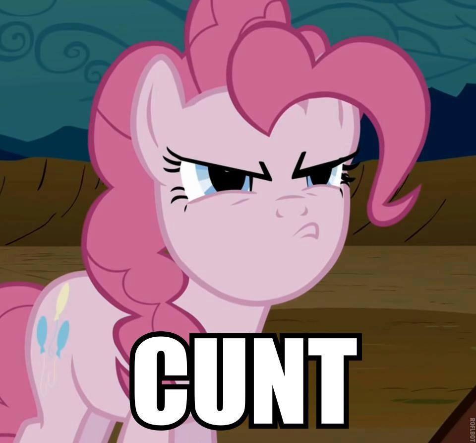 [Image - 869155] | Pony Reactions | Know Your Meme