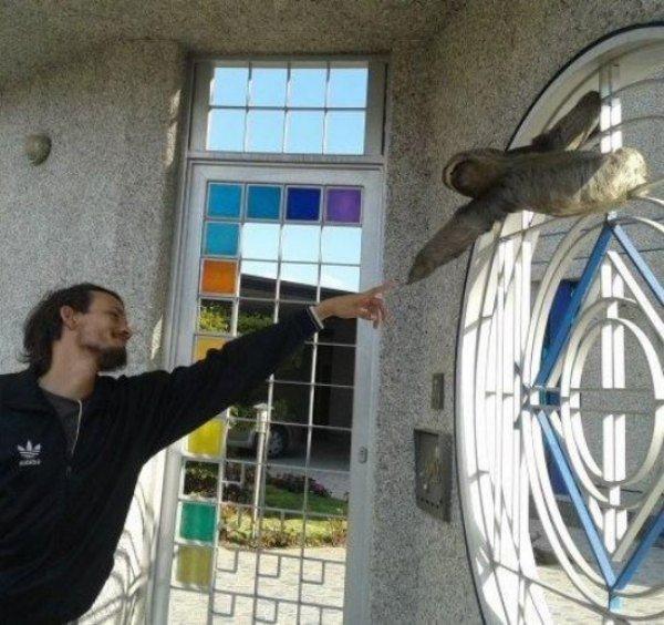 [Image - 869683] | The Creation of Adam Parodies | Know Your Meme