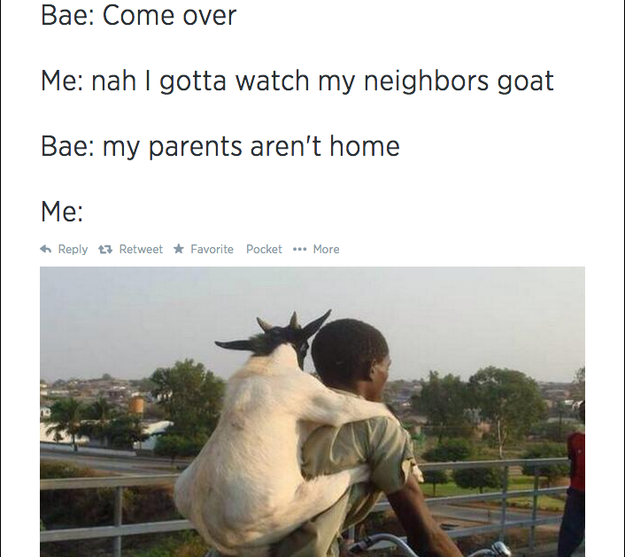 [Image - 873167] | Bae Come Over | Know Your Meme