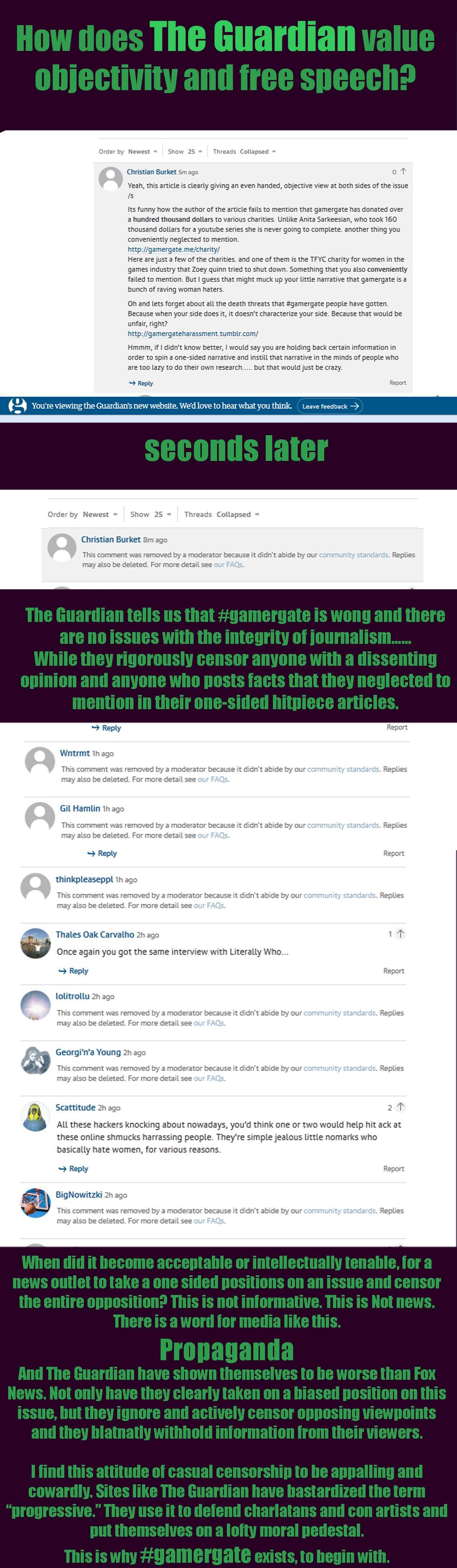 More like The Moral Guardian | GamerGate | Know Your Meme