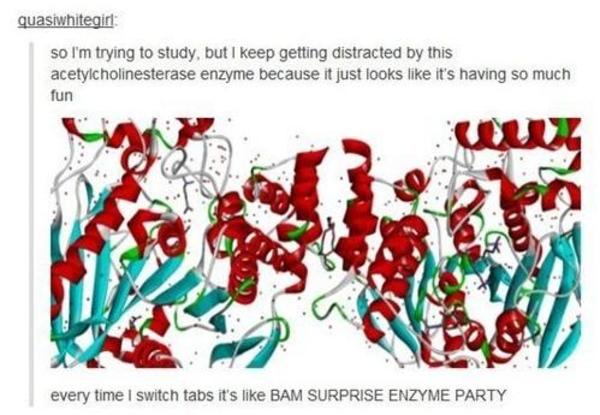 I wanna be part of that enzyme party. | Tumblr | Know Your Meme