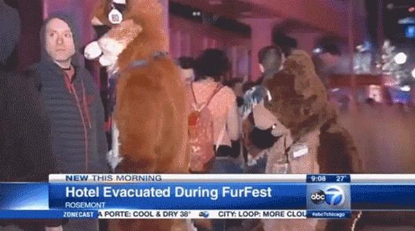 [Image - 876728] | Midwest Furfest Poison Gas Attack | Know Your Meme