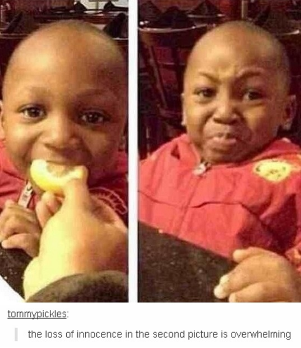 [Image - 876746] | Tumblr | Know Your Meme