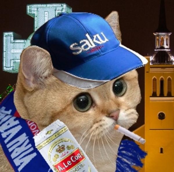 [Image - 880704] | Starecat / Grafics Cat | Know Your Meme