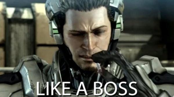 [Image - 881595] | Like A Boss | Know Your Meme