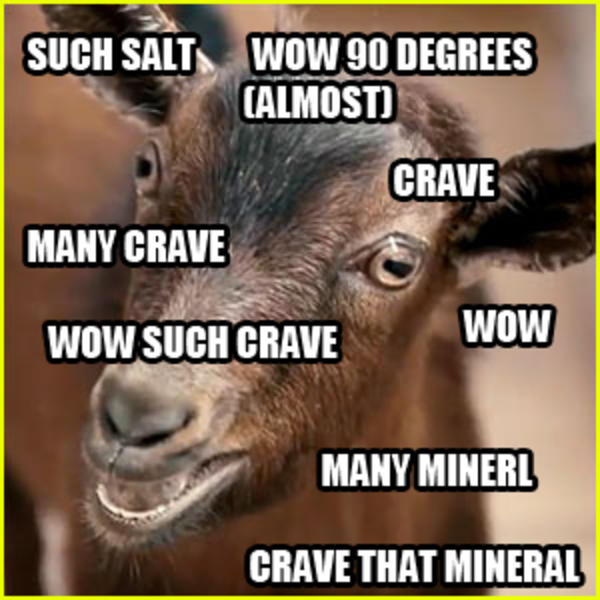 [Image - 882082] | I Crave That Mineral | Know Your Meme