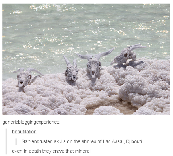 [Image - 883624] | I Crave That Mineral | Know Your Meme