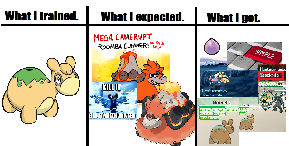 And thus, it turns out Numel is better then Camerupt | Pokémon | Know ...