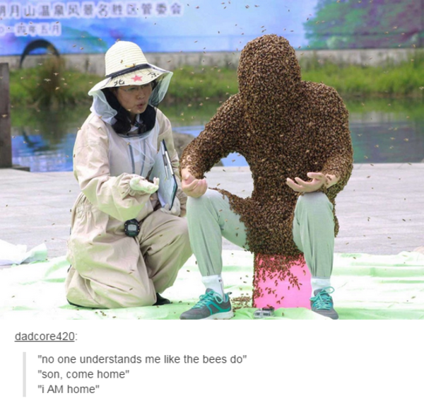 [Image - 884825] | Tumblr | Know Your Meme