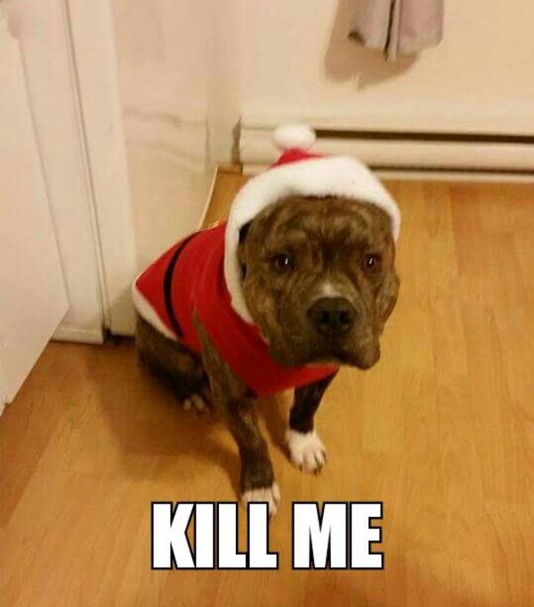 Kill me | Kill Me | Know Your Meme