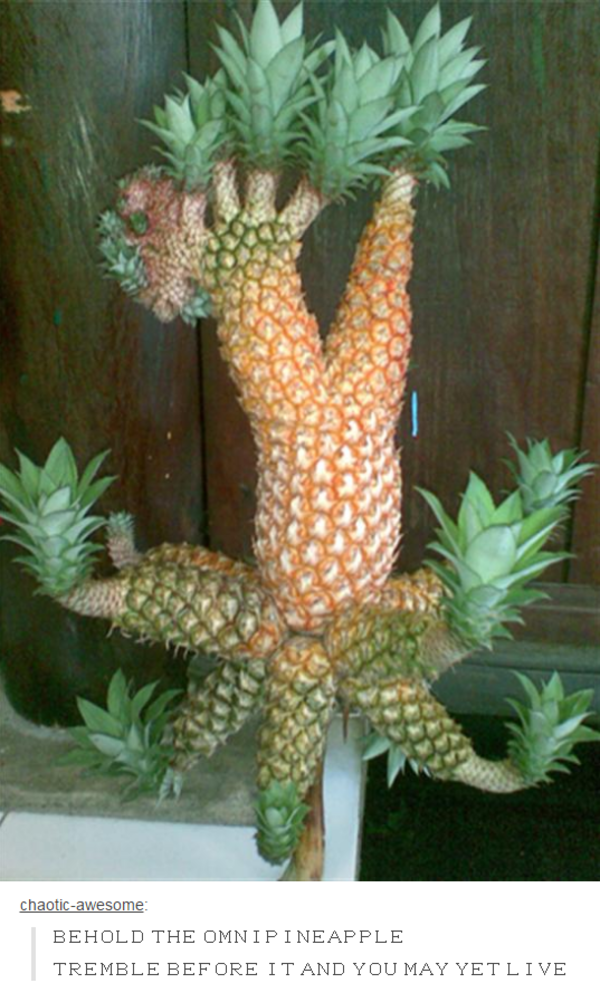 [Image - 886677] | Tumblr | Know Your Meme