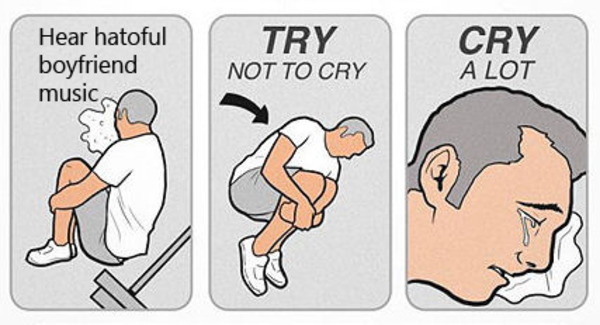 [Image - 889918] | Lie Down / Try Not To Cry / Cry A Lot | Know Your Meme