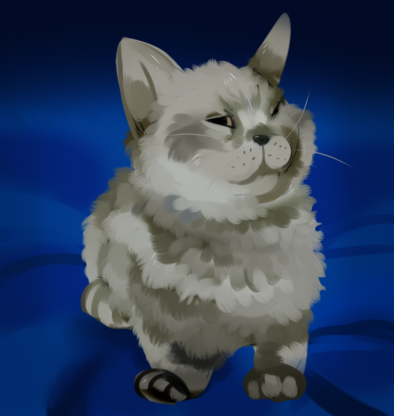 [Image - 891589] | Little Grey Cat | Know Your Meme