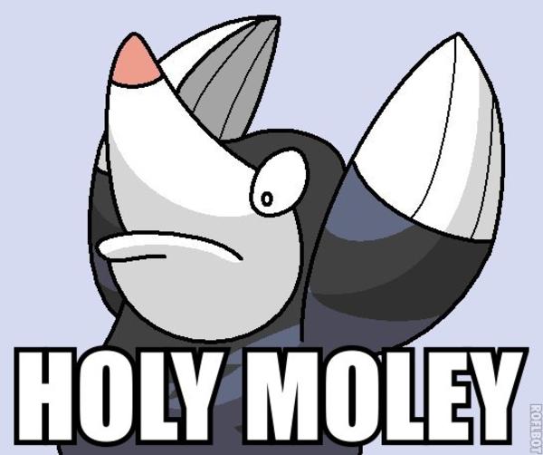 HOLY MOLEY | Pokémon | Know Your Meme