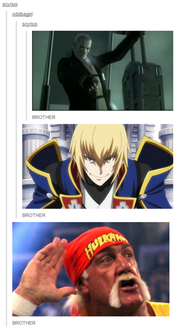 BROTHER | Hulk Hogan | Know Your Meme