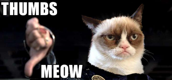 Thumbs... meow | Grumpy Cat | Know Your Meme