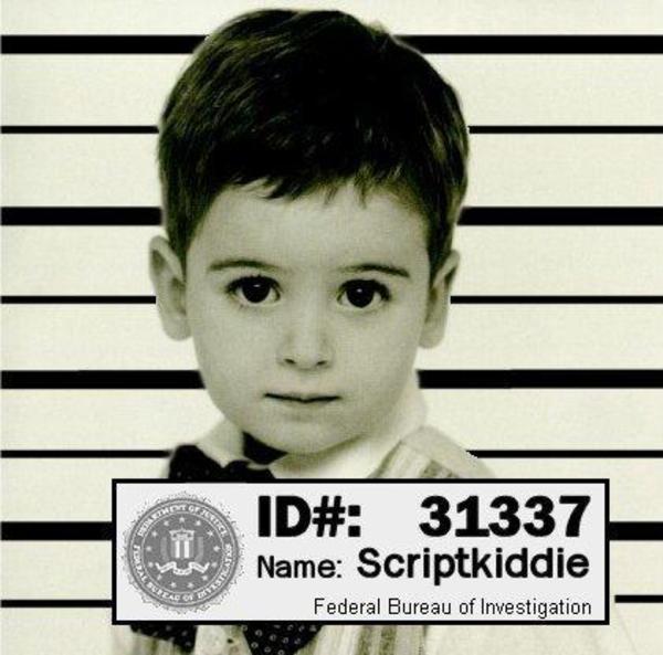 [Image - 902003] | Script Kiddie | Know Your Meme