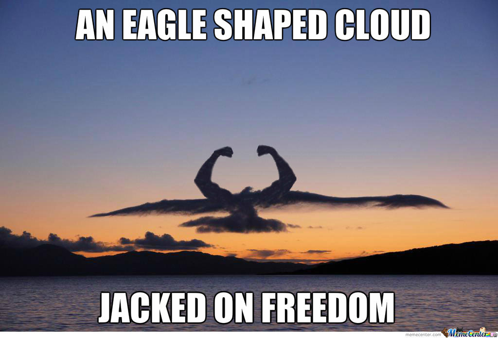 [Image - 904445] | 'Murica | Know Your Meme