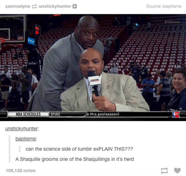 [Image - 904856] | Shaquille O'Neal | Know Your Meme