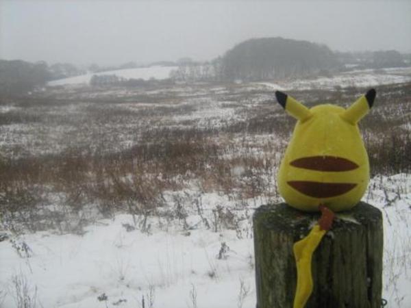 Thinking about life | Pokémon | Know Your Meme