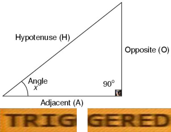 When I tell Tumblr getting a tan cos you want to look nice is a sin ...