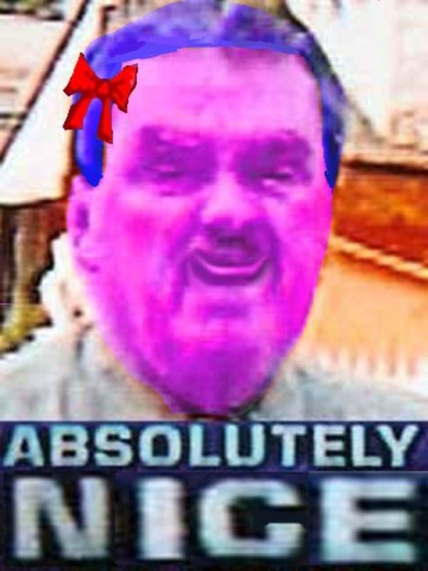 [Image - 907086] | This is Nice Board / Bury Pink Gril | Know Your Meme