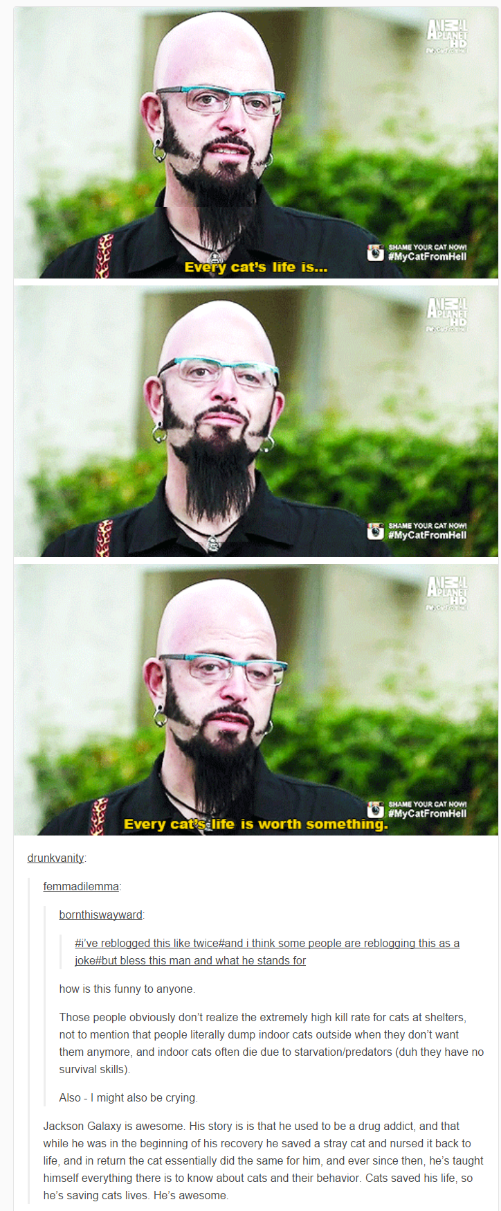 This Guy Is Awesome, | Tumblr | Know Your Meme