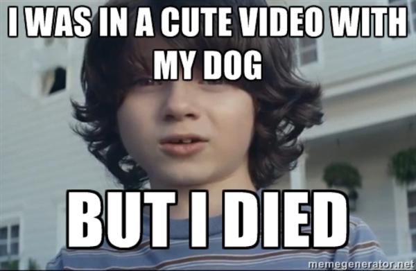 i was in a cute video with my dog / but I died | Nationwide Dead Kid ...