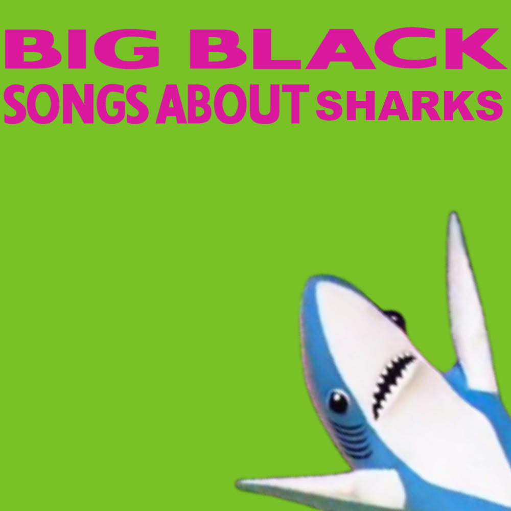 Songs About Sharks | Super Bowl XLIX Halftime "Left Shark" | Know Your Meme