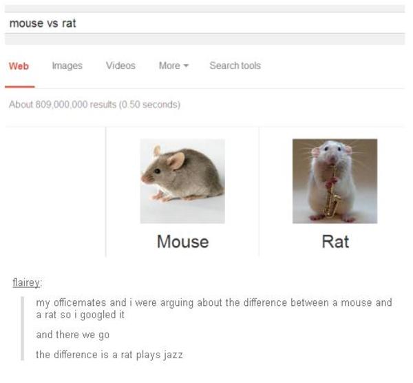 Mouse VS Rat | Tumblr | Know Your Meme