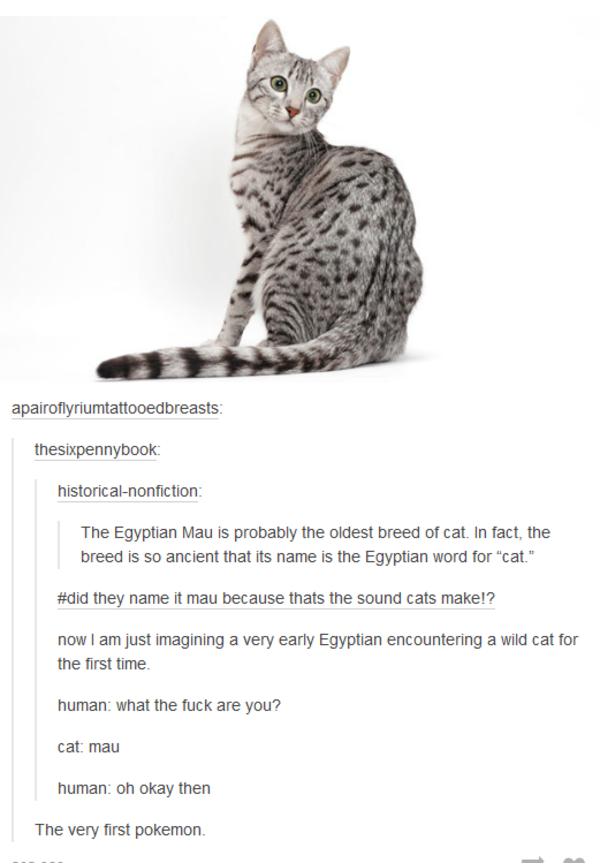 the first pokemon | Pokémon | Know Your Meme