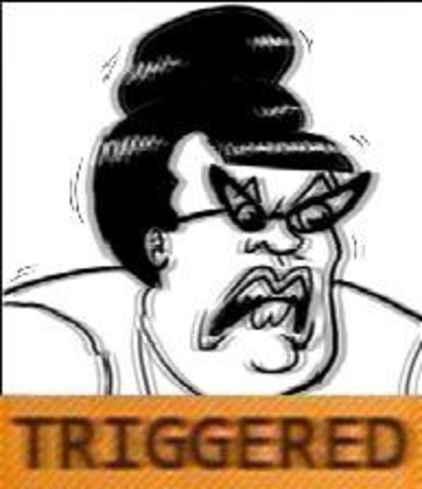 Triggered | Trigger | Know Your Meme