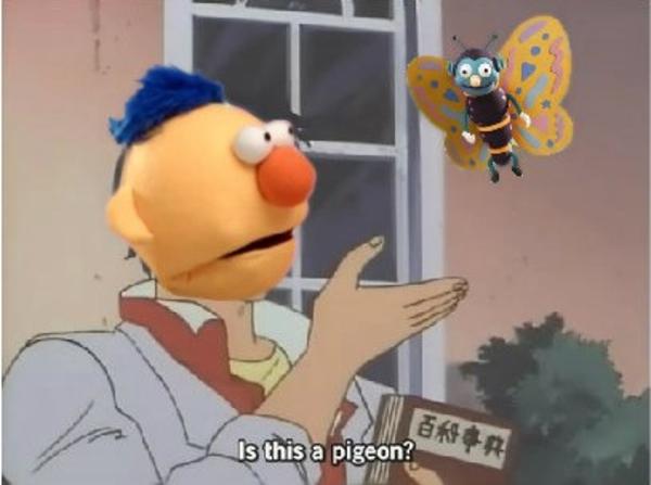 Is this a little baby pidgeon? | Is This a Pigeon? | Know Your Meme