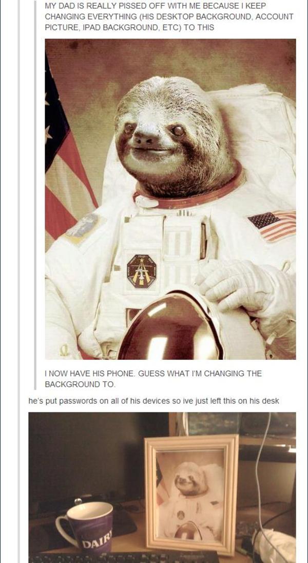 America is now sending sloths to space. | Astronaut Sloth | Know Your Meme
