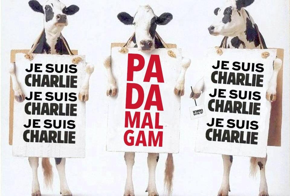 Padamalgam cows | Padamalgam | Know Your Meme