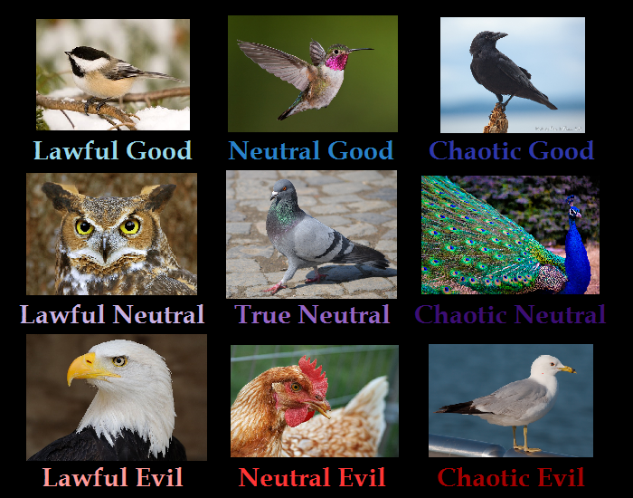 Bird Alignment | Alignment Charts | Know Your Meme